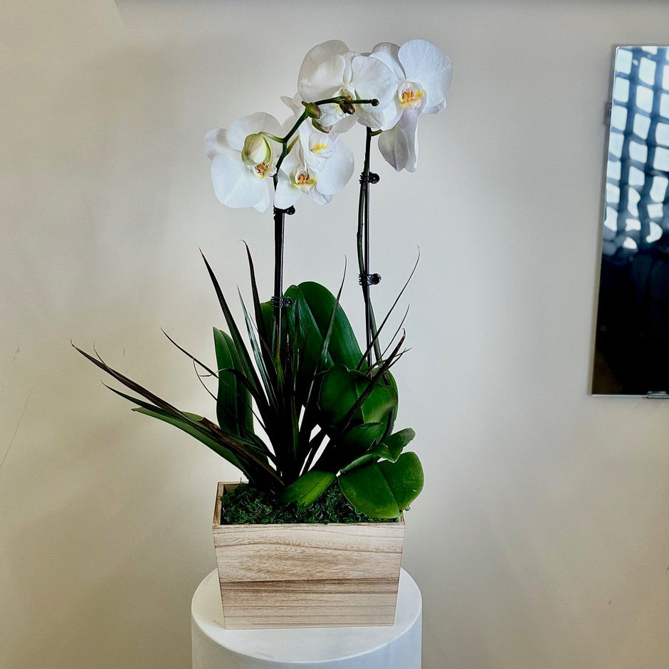 Jolie Flower Shop | Local Florist & Flower Delivery on Cape Cod